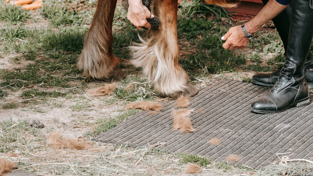 Aluminum Horseshoes vs Steel Which is Best for Your Horse