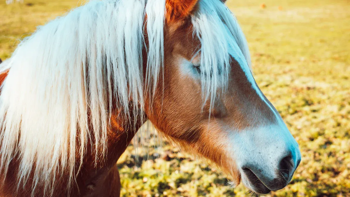 Mustad Horseshoe Alternatives: China Relia Factory 99% Performance ...