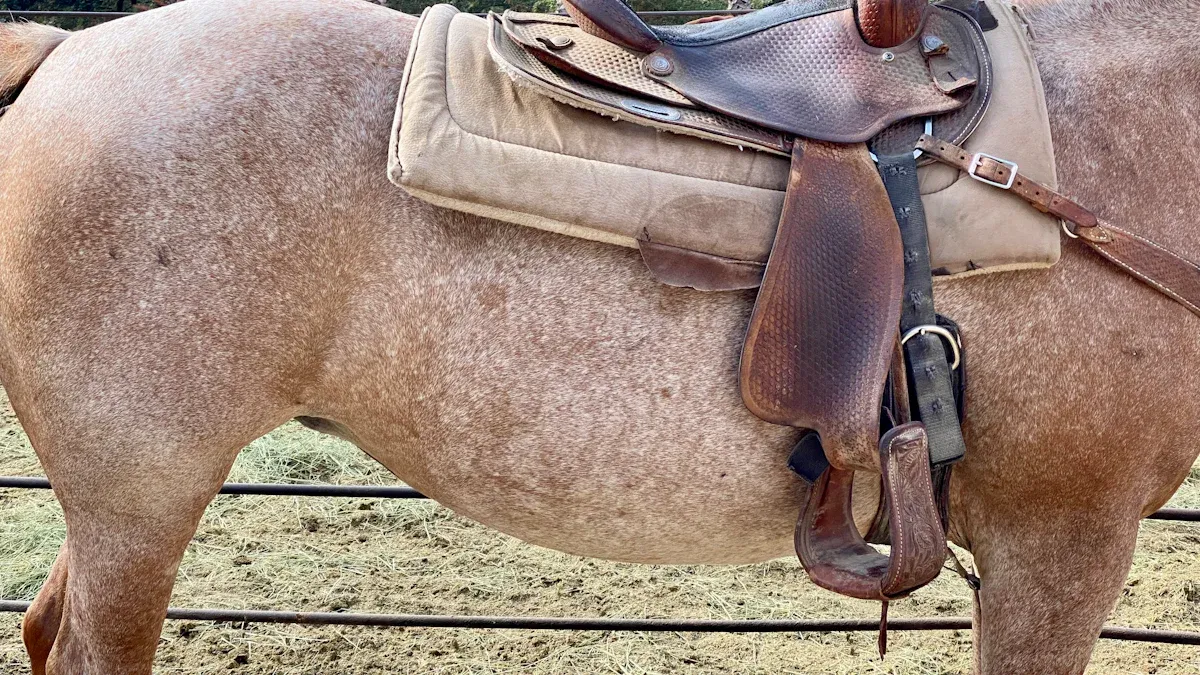 Caring for Saddles: Understanding the Different Types and Their Various ...