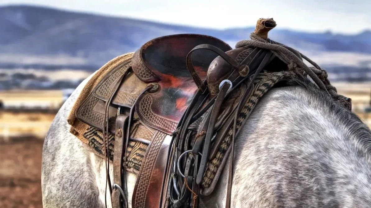 A Complete Guide to Horse Riding Equipment in 2025