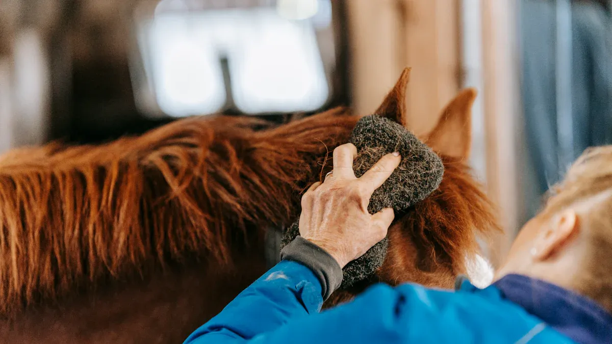 Horse Grooming Guide: How to Groom a Horse and the Essential Tools You ...